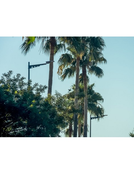 Installation Road Lighting II - Industrial Estate, roundabouts and ...