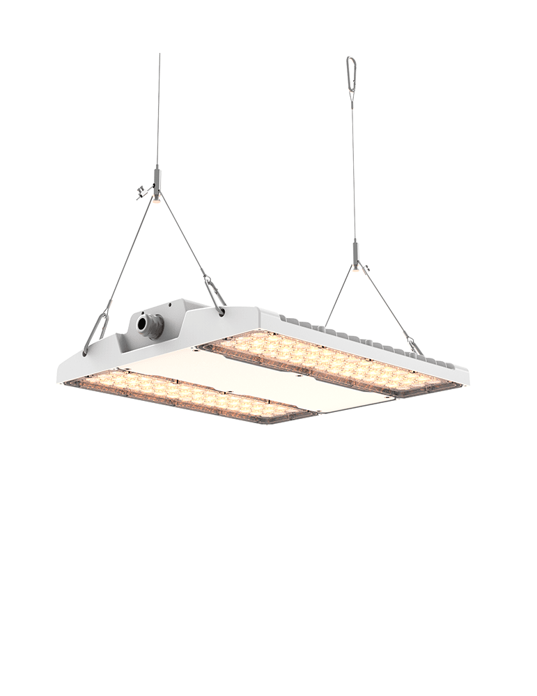 Indoor LED Spotlight