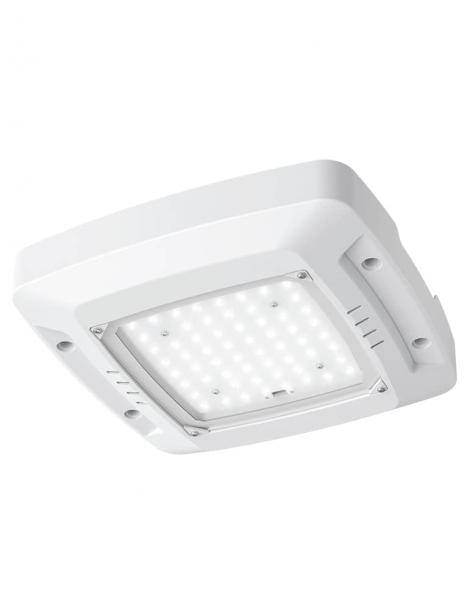LED lighting perfect for gas stations. Surface installation.